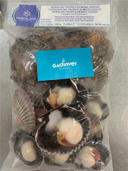 QUEEN SCALLOPS / CANESTRELLO/CAPASANTA MEZZO GUSCIO Conxemar 2022