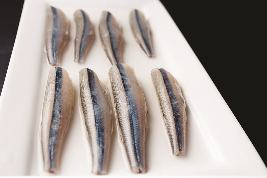 Silverside Smelt Conxemar 2022