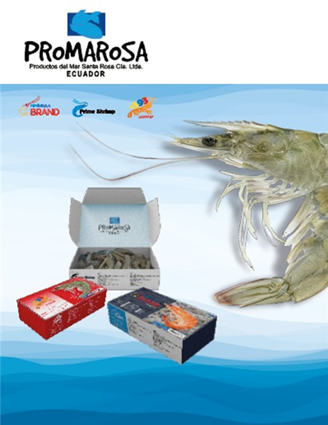 SHRIMP- LITOPENAEUS VANNAMEI Conxemar 2022